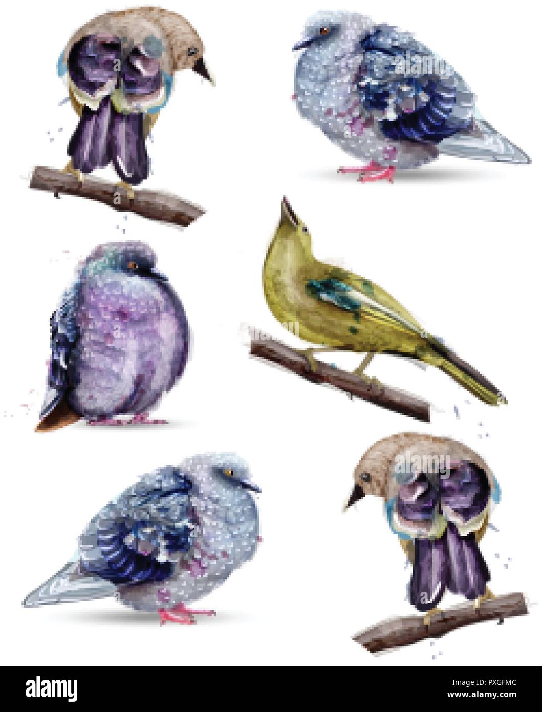 Cute birds watercolor Vector. Colorful painted style illustration Stock ...