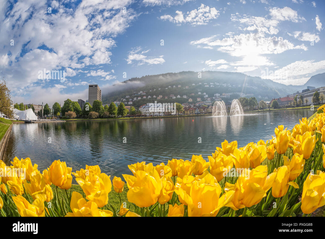 Bergen street blossom hi-res stock photography and images - Alamy