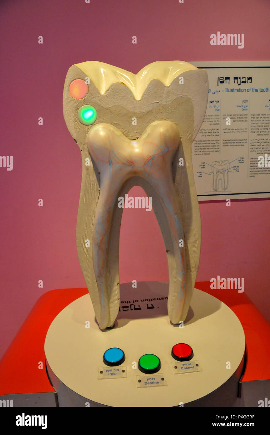 Hands on exhibit exhibits exhibition exhibitions hi-res stock ...