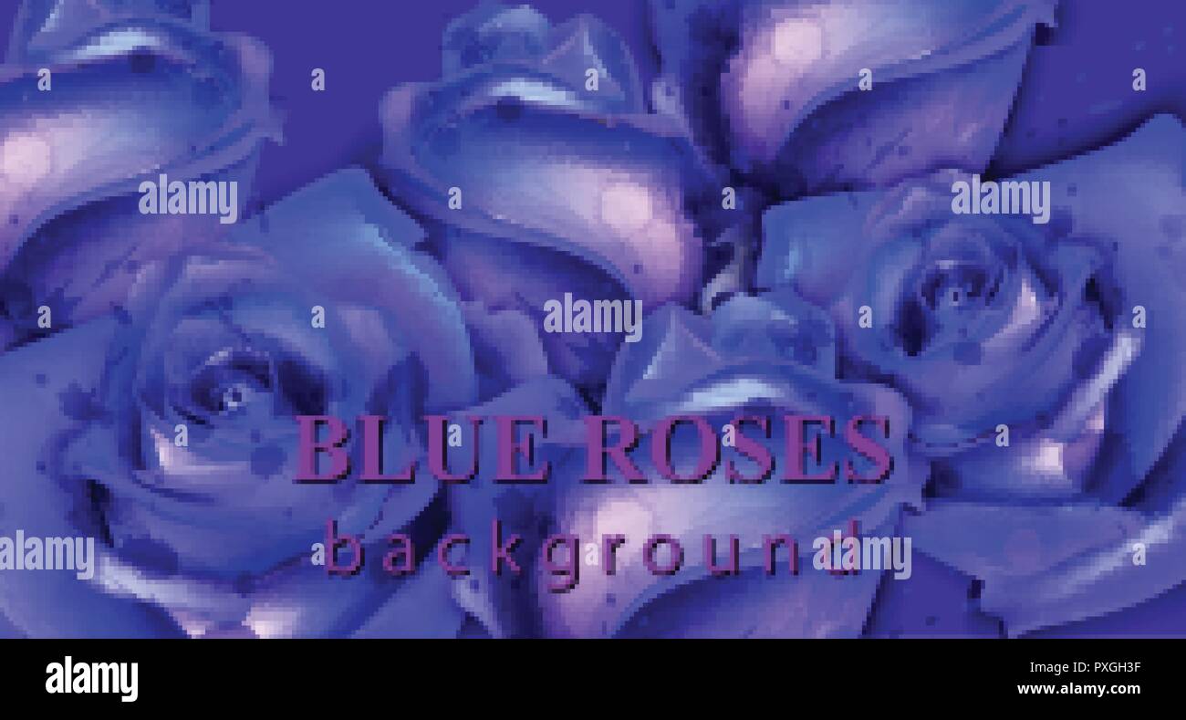 Blue watercolor roses background Vector. Beautiful floral texture decor ...