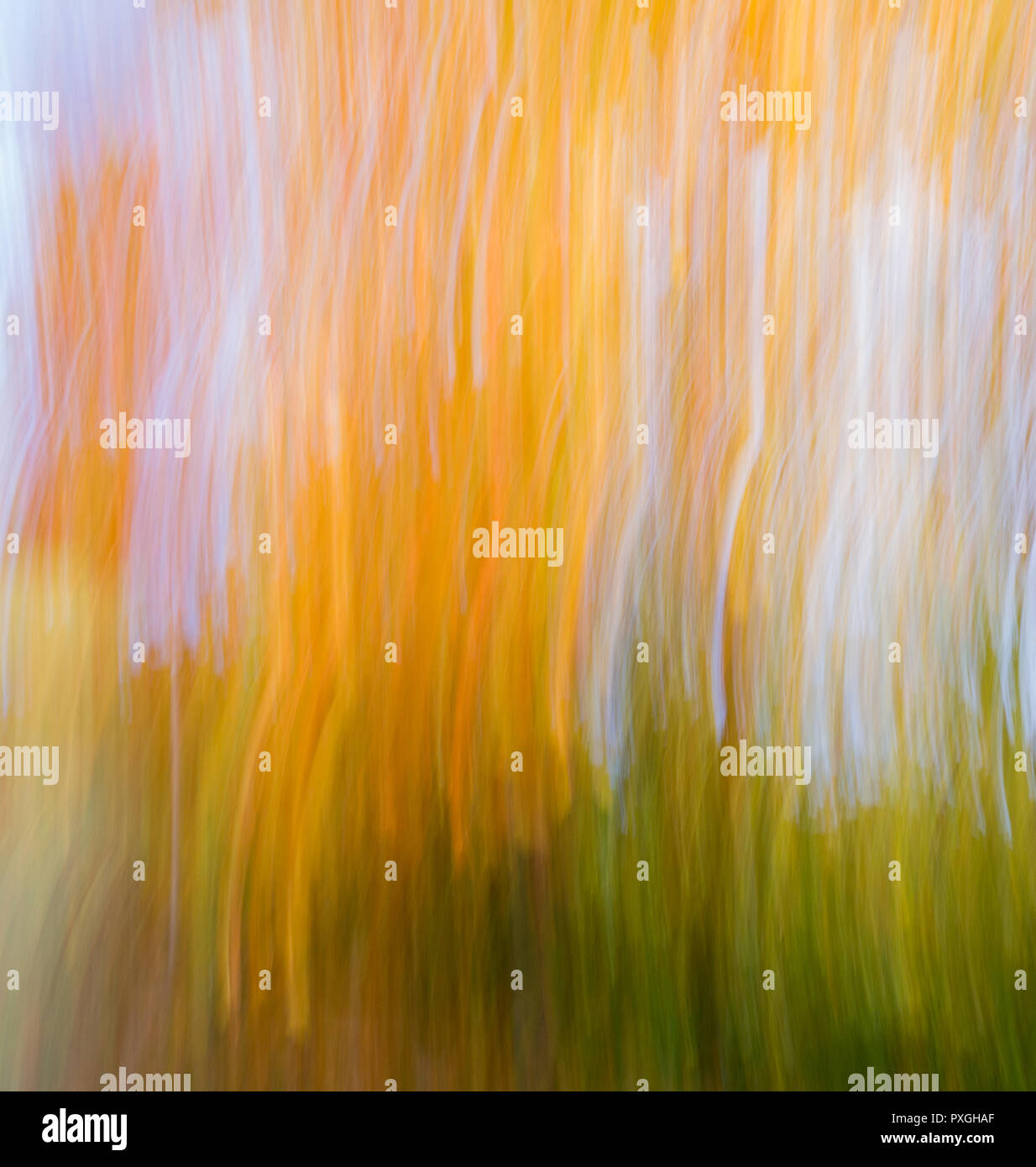 Background with pastel autumn colors Stock Photo - Alamy