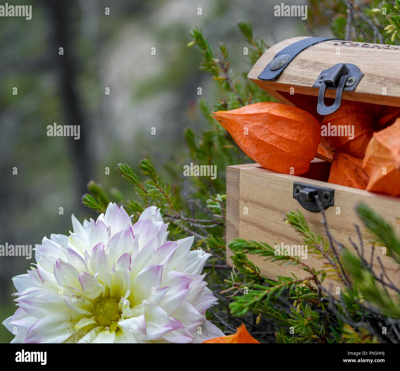 Beowulf Treasure Box Style