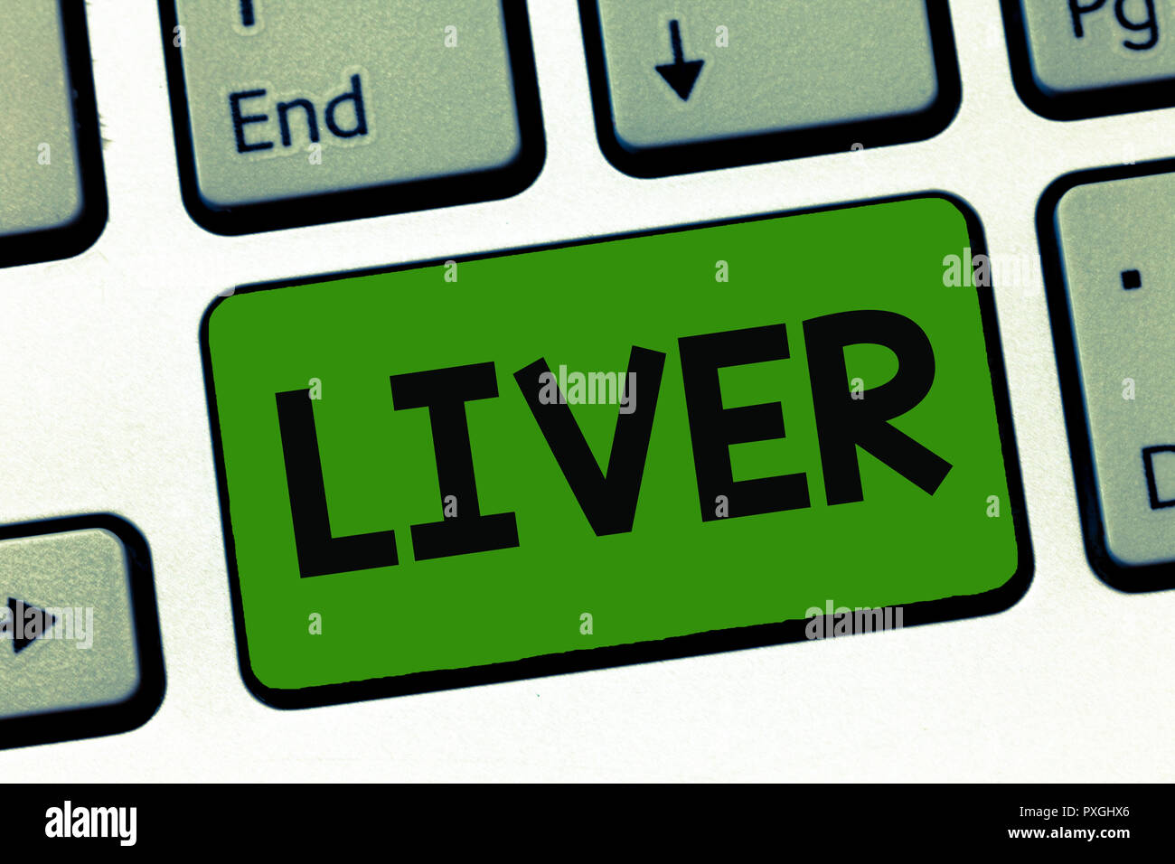 Word writing text Liver. Business concept for Large lobed glandular ...