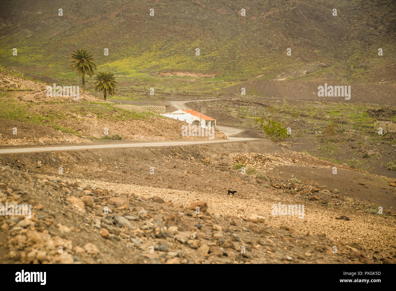 Small traditional house along side macadam road to Cofete beach ...