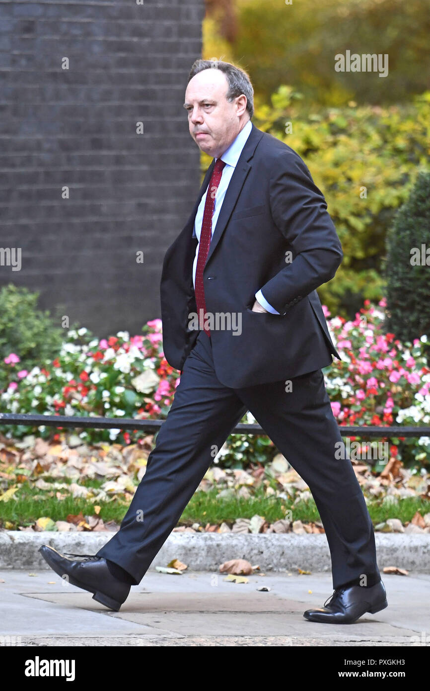 Nigel Dodds arrives at 10 Downing Street in London for a meeting Stock ...