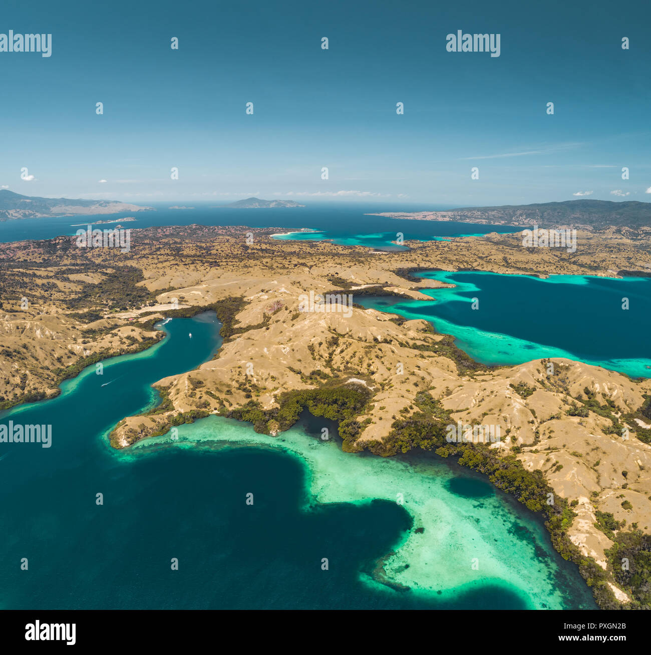 Komodo dragon ecosystem hi-res stock photography and images - Alamy