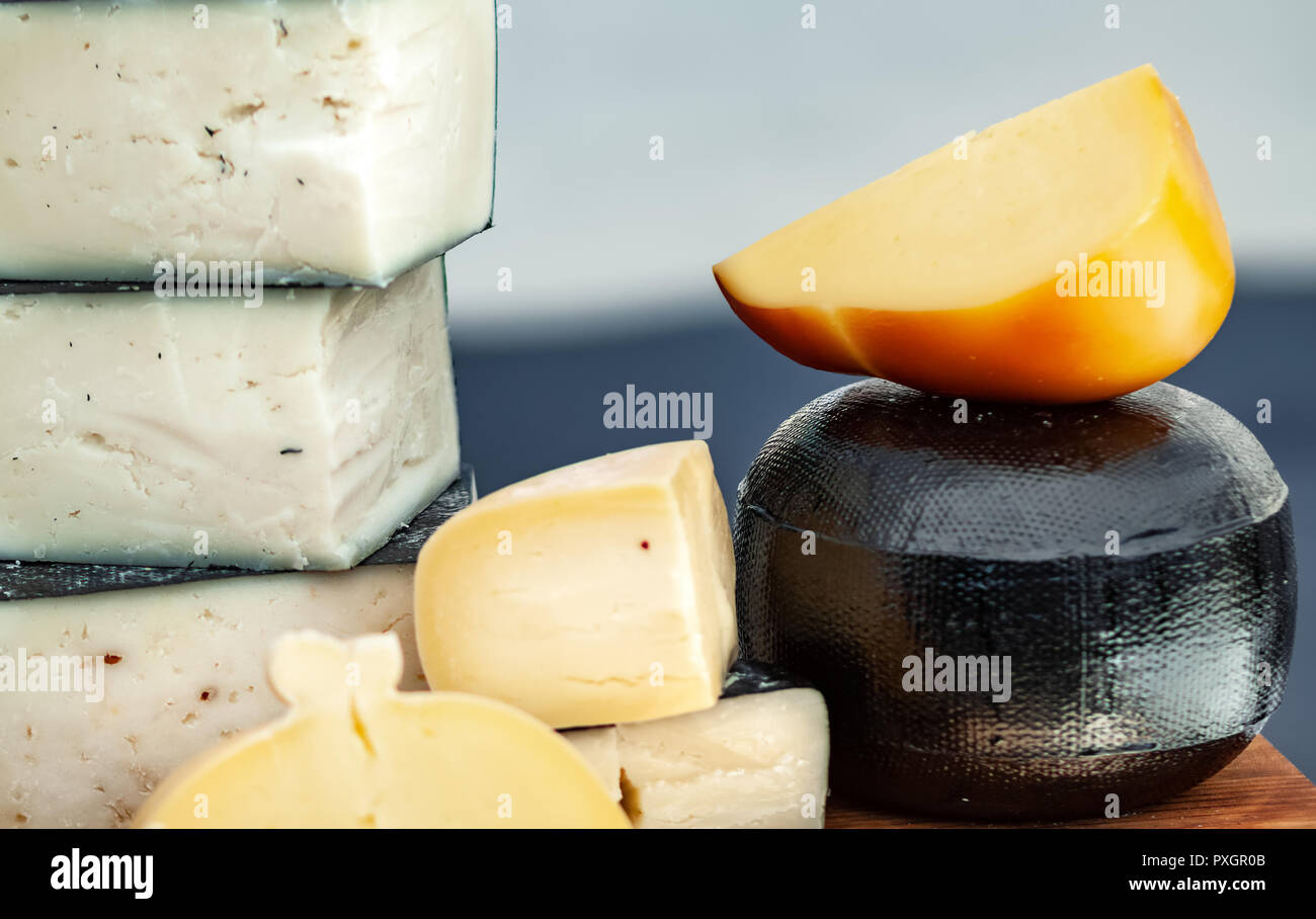 Organic homemade cheese at the cheese fair. Healthy food manufacture ...