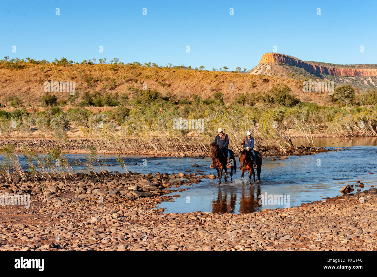 Stockmen hi-res stock photography and images - Alamy