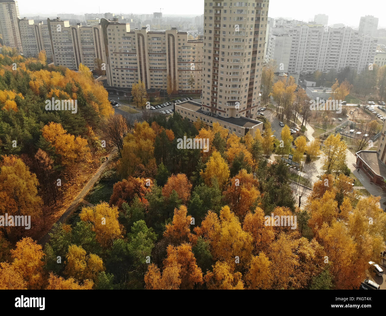 Golden autumn in russia hi-res stock photography and images - Alamy