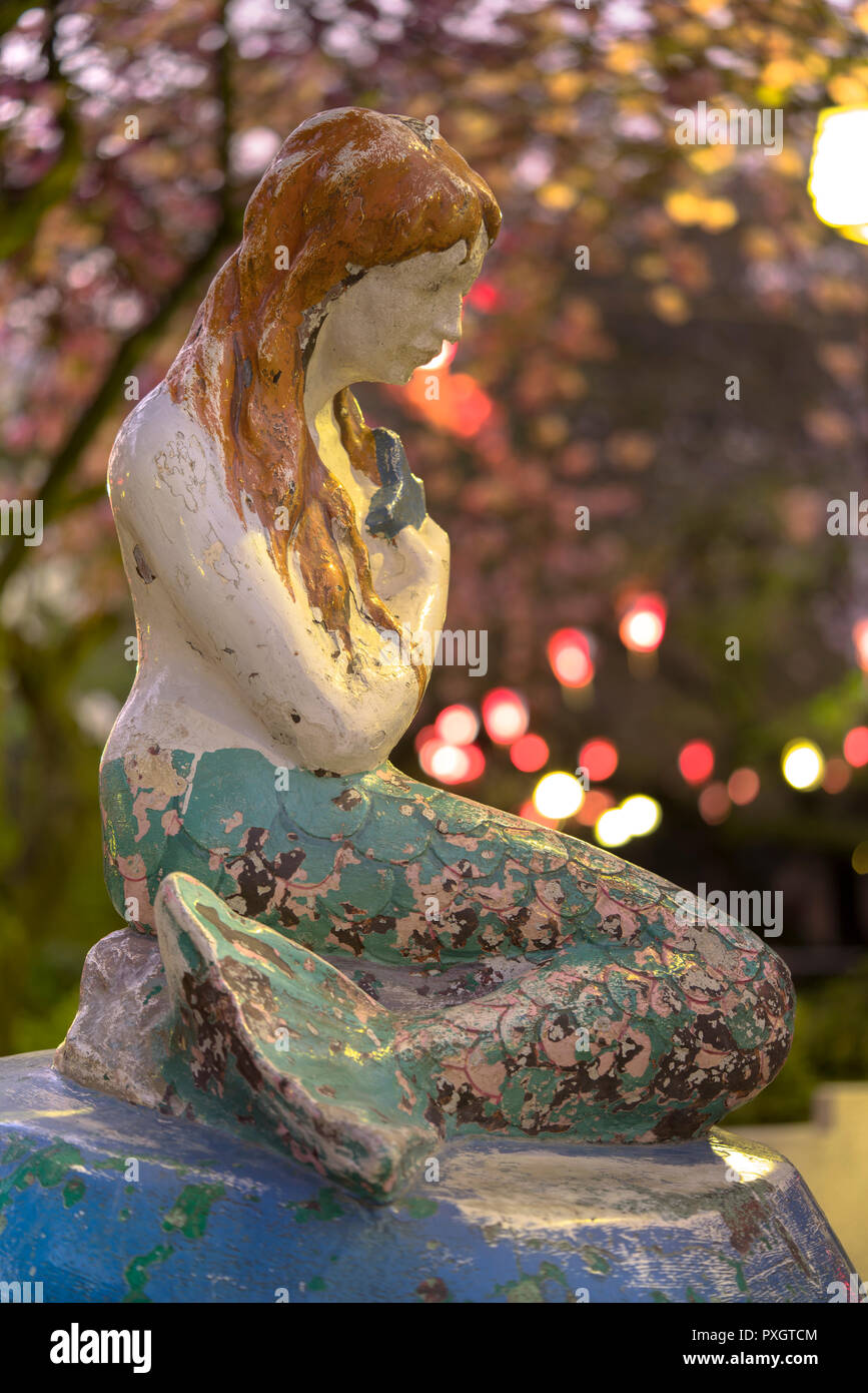 Weeping cherry falling cherry hi-res stock photography and images - Alamy