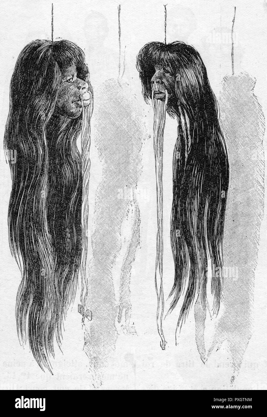 Shrunken heads south america hi-res stock photography and images - Alamy