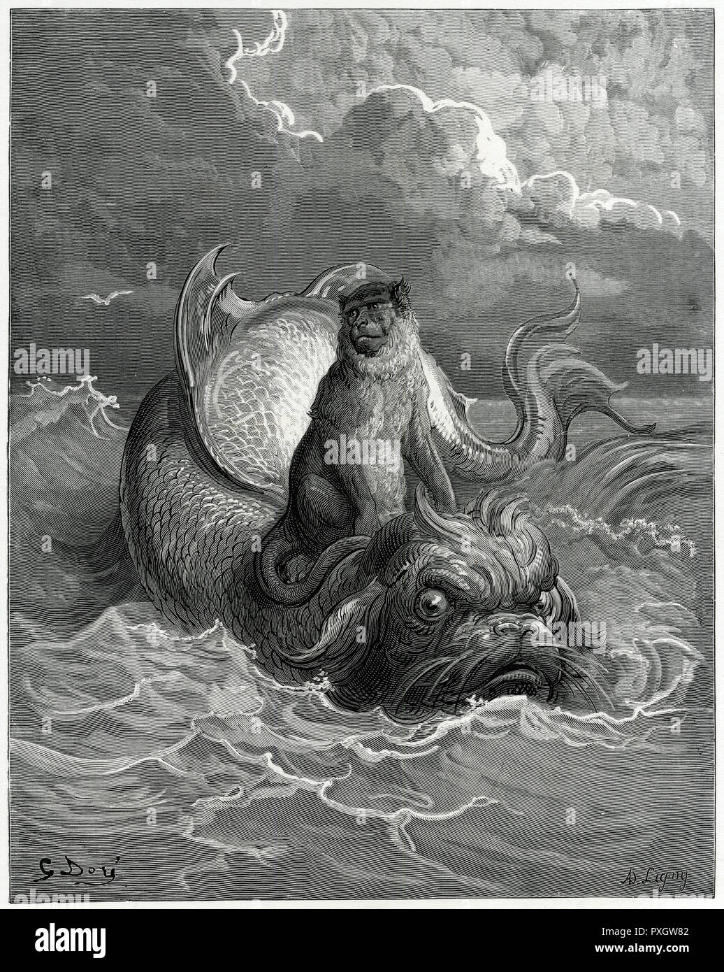 MONKEY AND DOLPHIN Stock Photo - Alamy