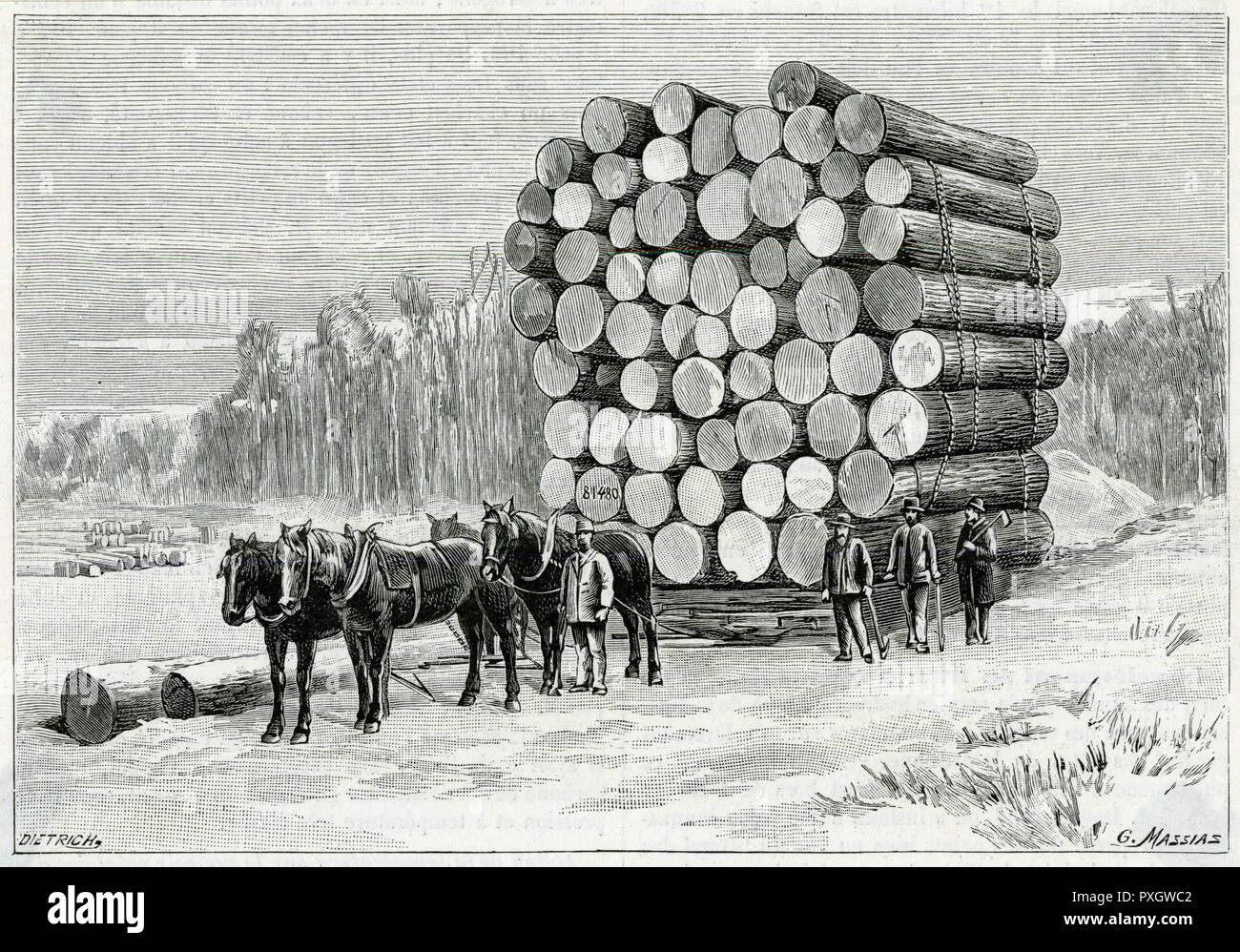 Timber hauling hi-res stock photography and images - Alamy