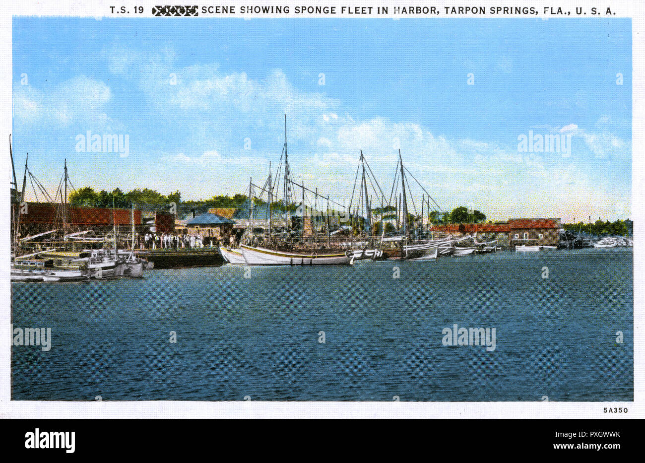 Sponge fleet hi-res stock photography and images - Alamy
