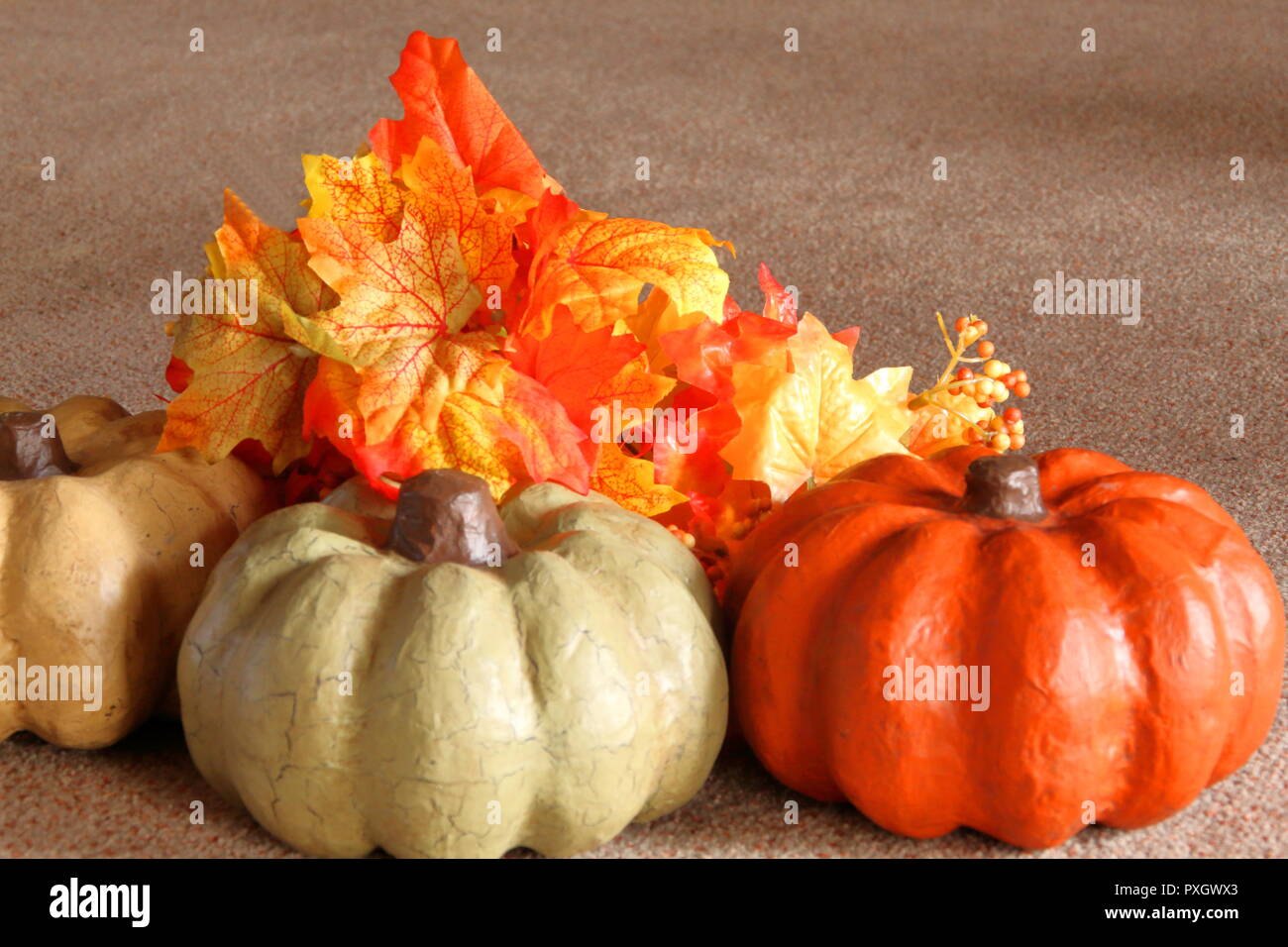 Collection of mini pumpkins and leaves in the center of the frame Stock ...