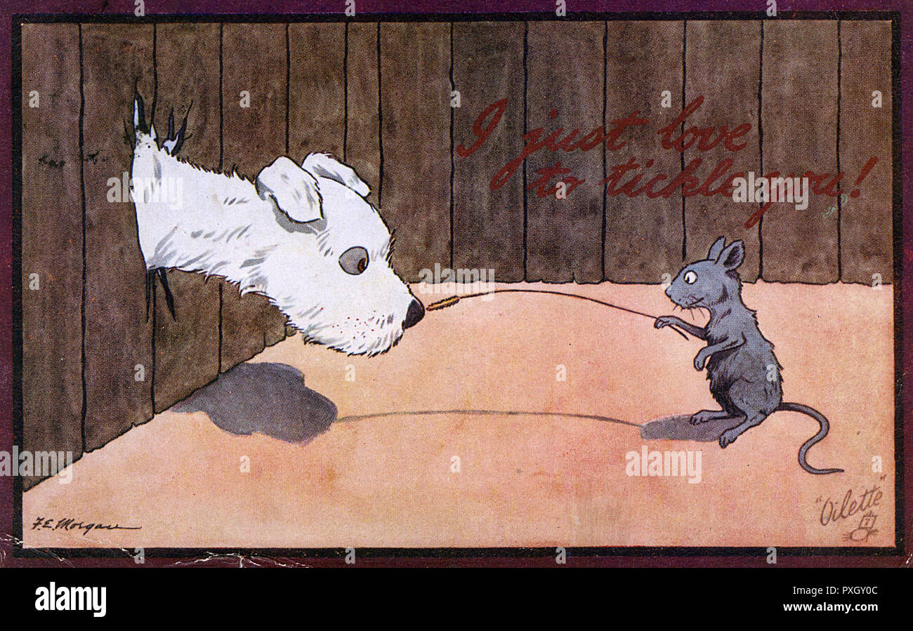 Cheeky mouse hi-res stock photography and images - Alamy