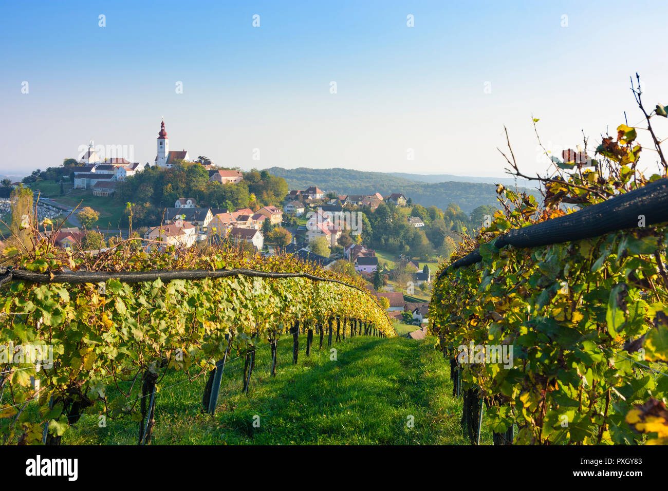 Straden: view to village Straden, vineyard, wine growing area, hills ...