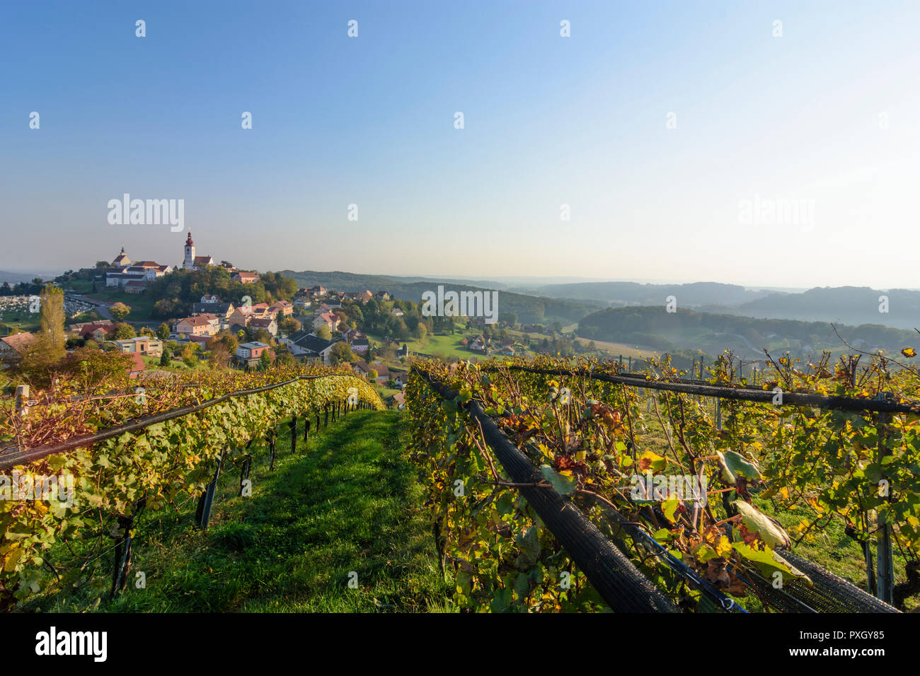 Straden: view to village Straden, vineyard, wine growing area, hills ...