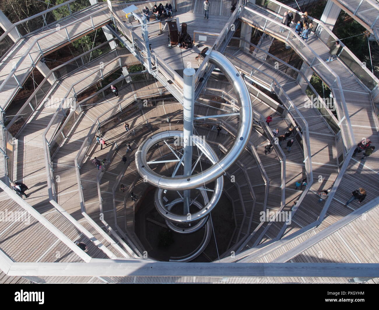 Tree top walk, Bad Wildbad, black forest, Germany Stock Photo - Alamy