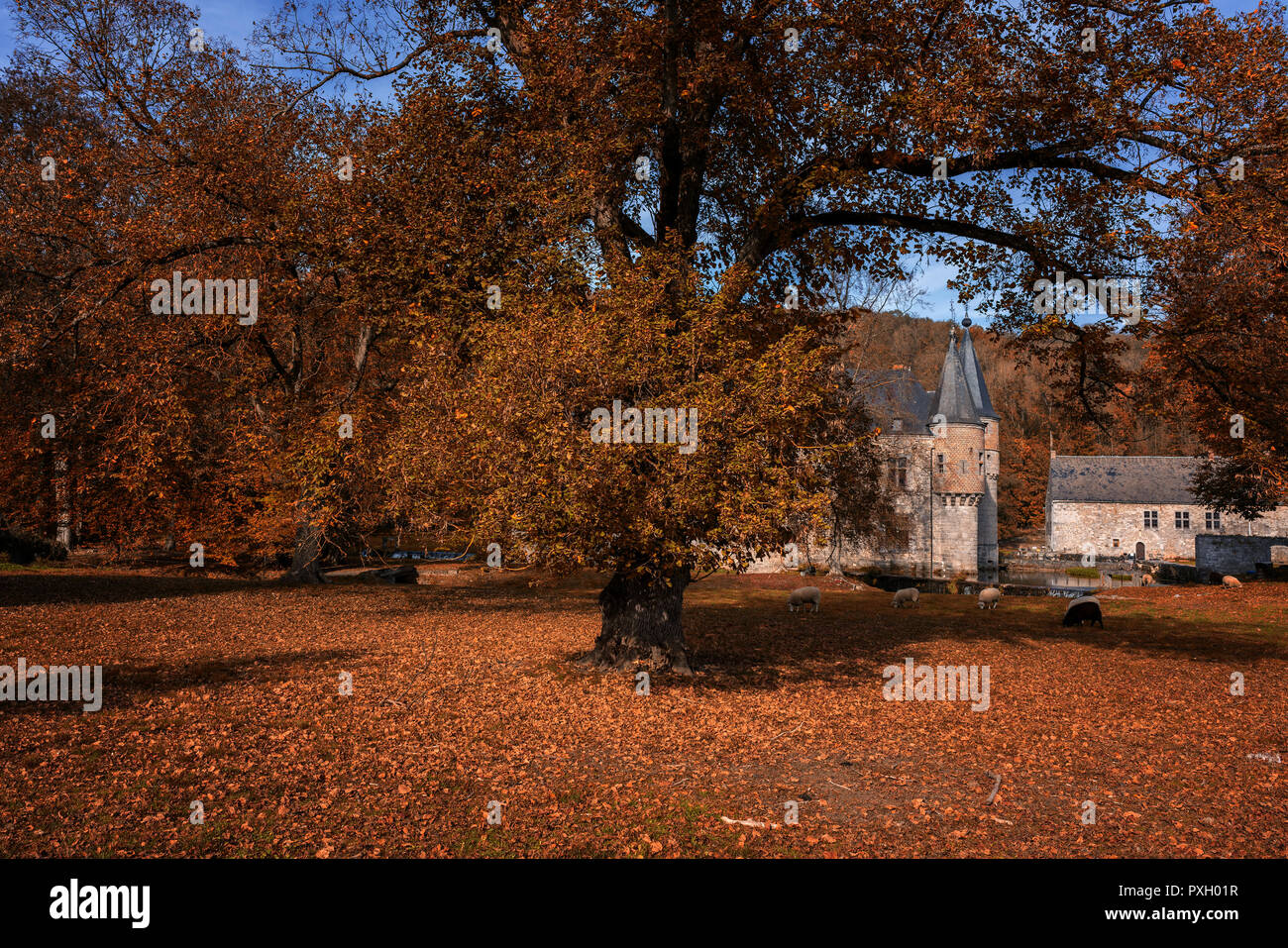 Spontin Castle in autumn Stock Photo - Alamy