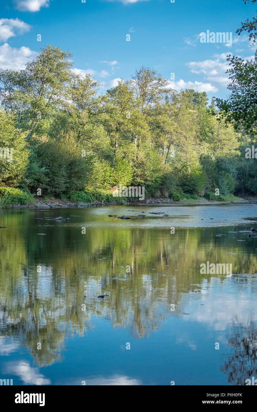 Theme river, river in mountain, margins with rocks, trees and ...