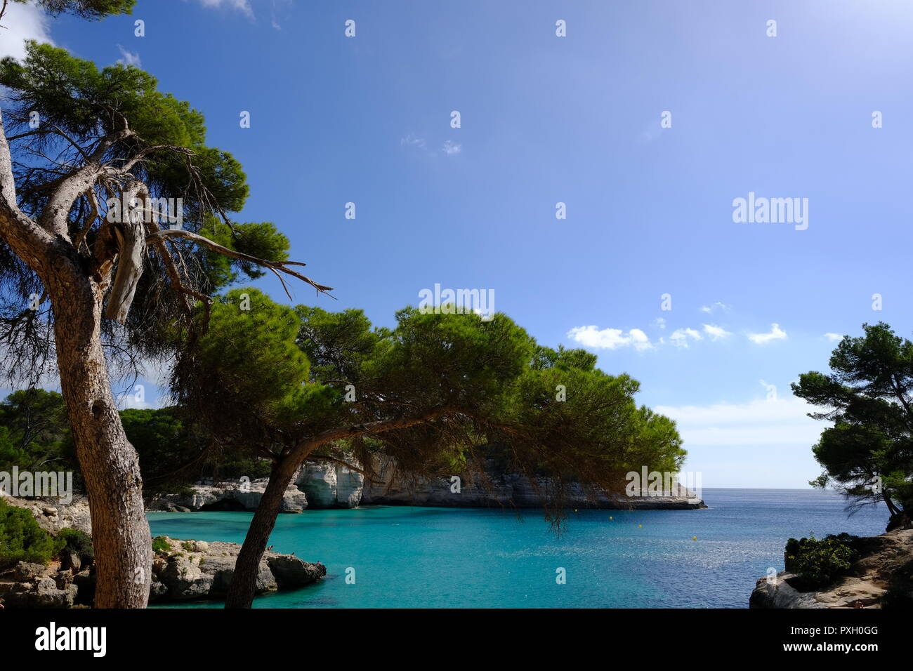 Cala Mitjana Bay and Beach with gorgeous tree Cala Galdana Menorca ...