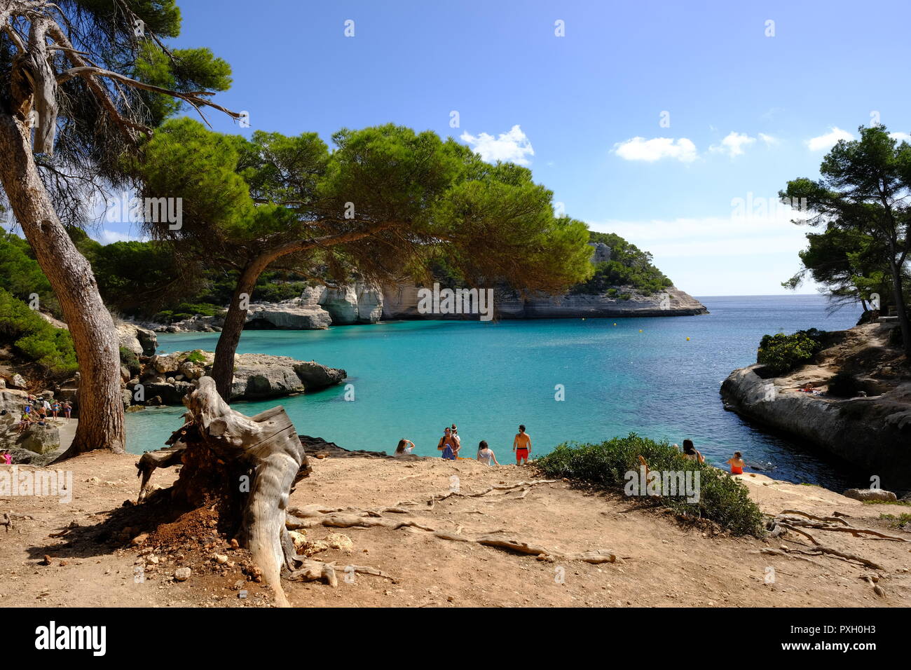 Cala Mitjana Bay and Beach with gorgeous tree Cala Galdana Menorca ...