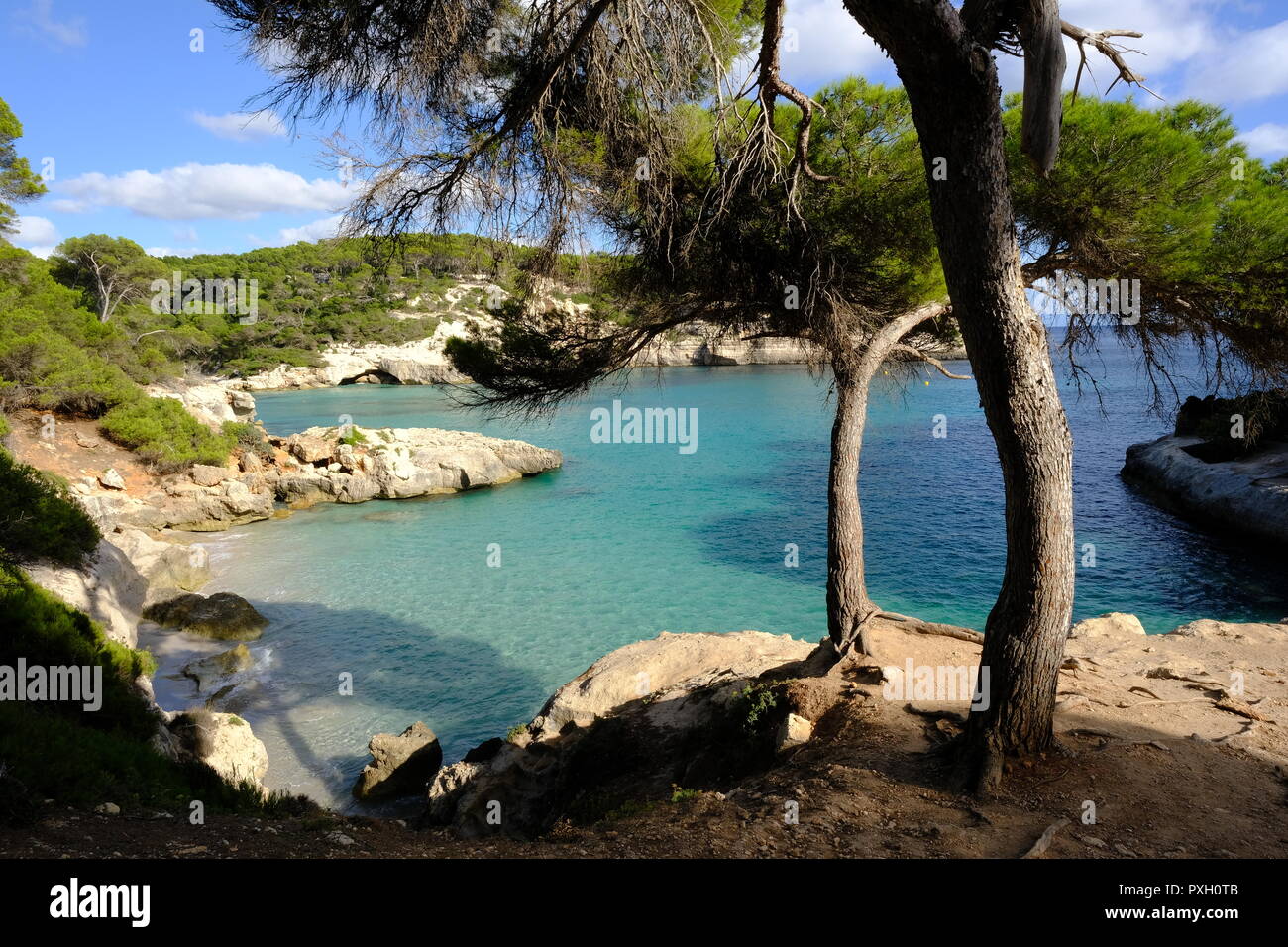 Cala Mitjana Bay and Beach with gorgeous tree Cala Galdana Menorca ...