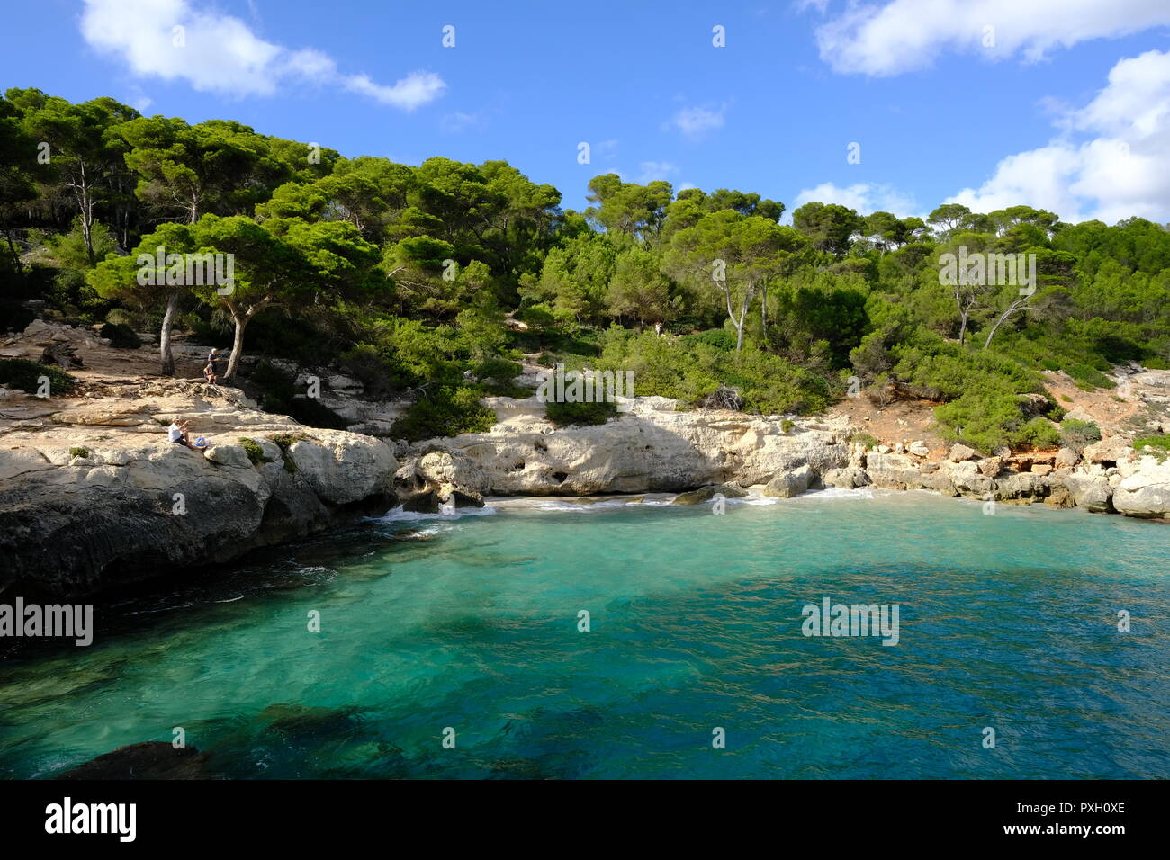 Cala Mitjana Bay and Beach with gorgeous tree Cala Galdana Menorca ...
