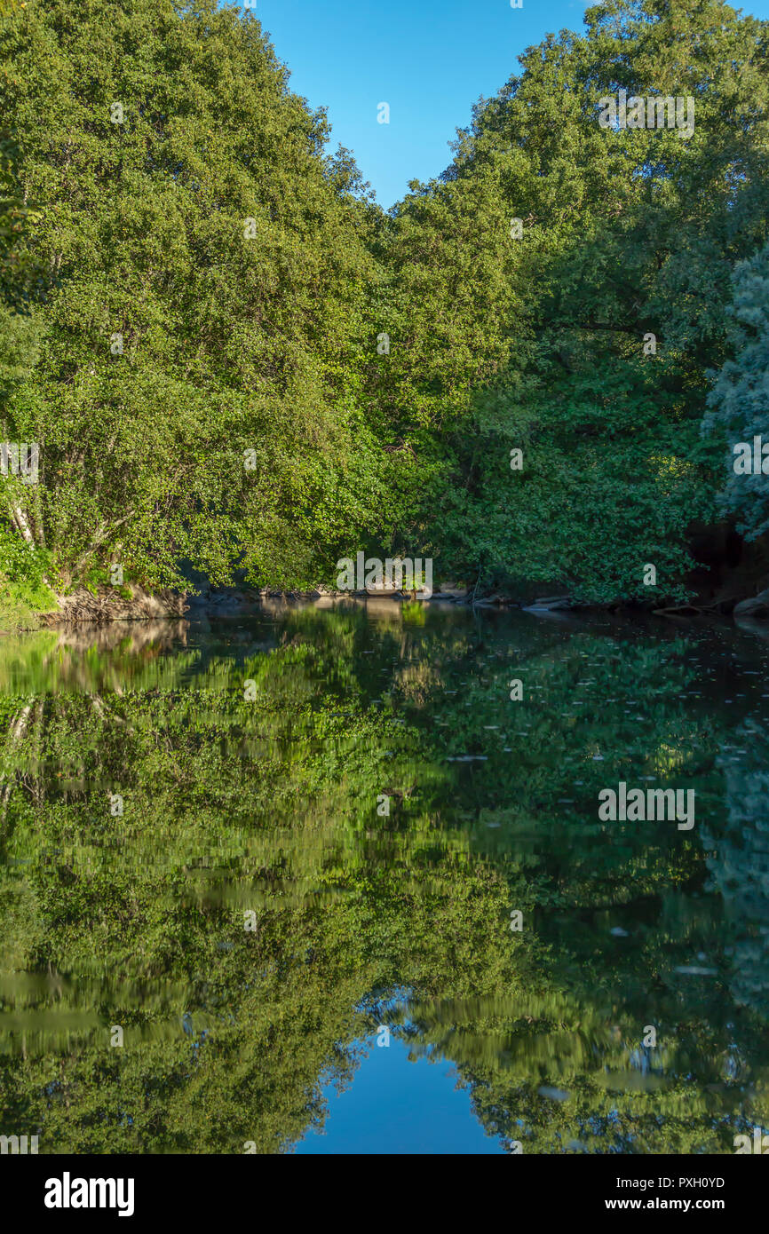 Theme river, river in mountain, margins with rocks, trees and ...