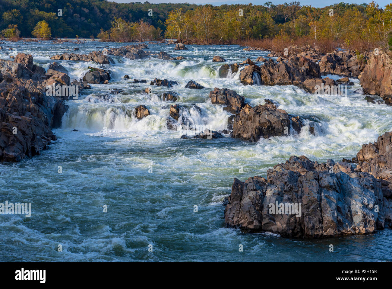 Whitewater rapids cascade through Mather Gorge while surrounded by ...