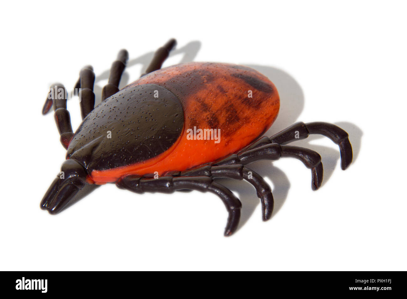 Large artificial Encephalitis tick on white isolated background Stock ...