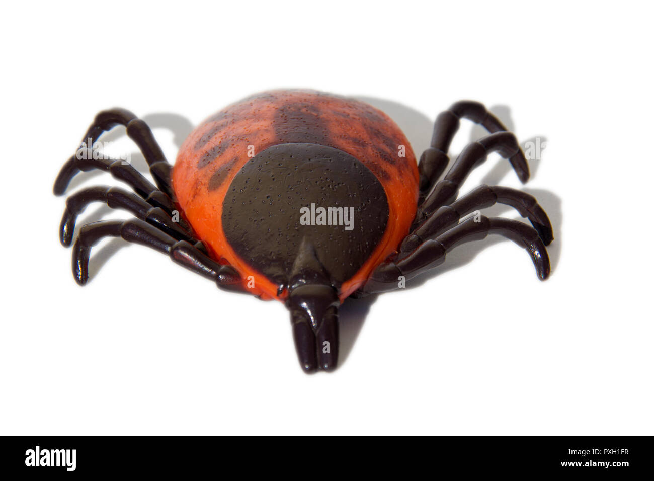 Large artificial Encephalitis tick on white isolated background Stock ...