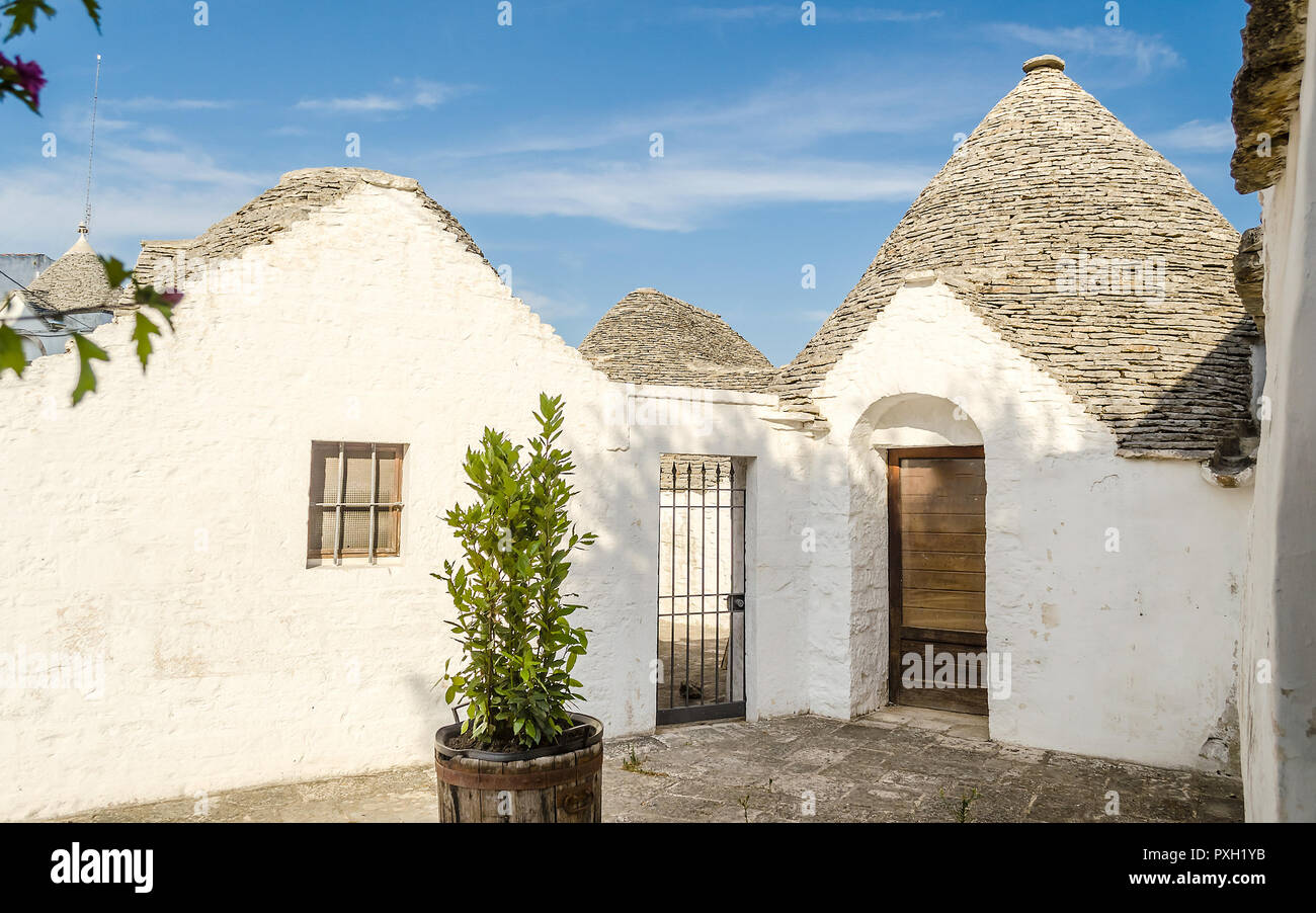 Typical trulli buildings with conical roofs in Alberobello, Apulia ...