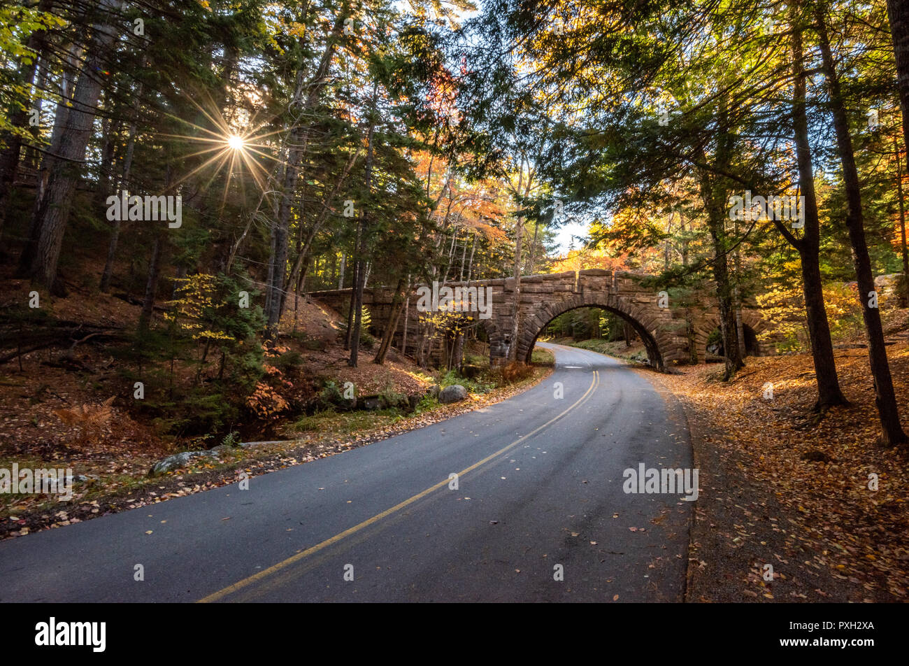 Fall Foliage in Maine Stock Photo - Alamy