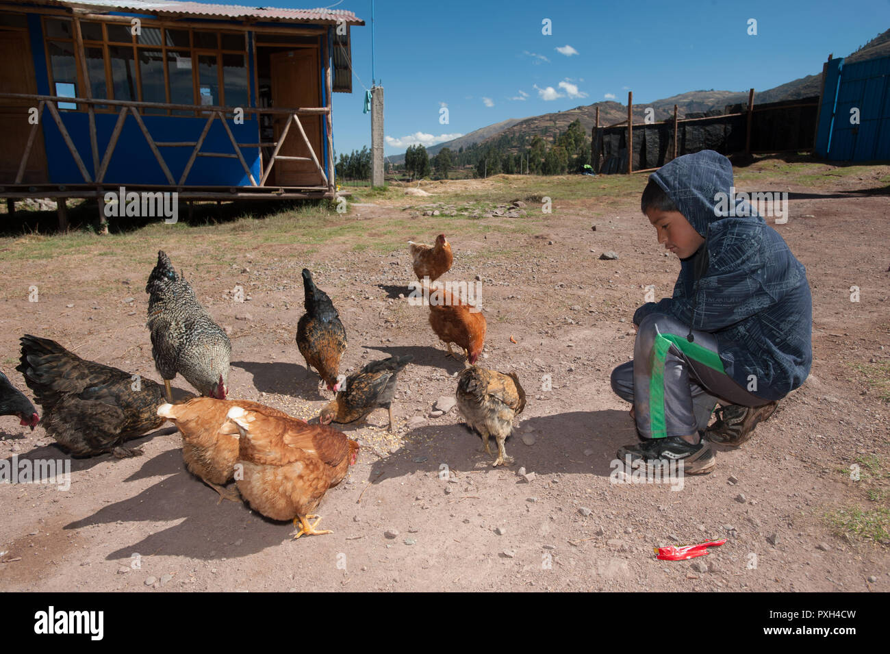 The poverty and family breakdown is a phenomenon that is still big in ...