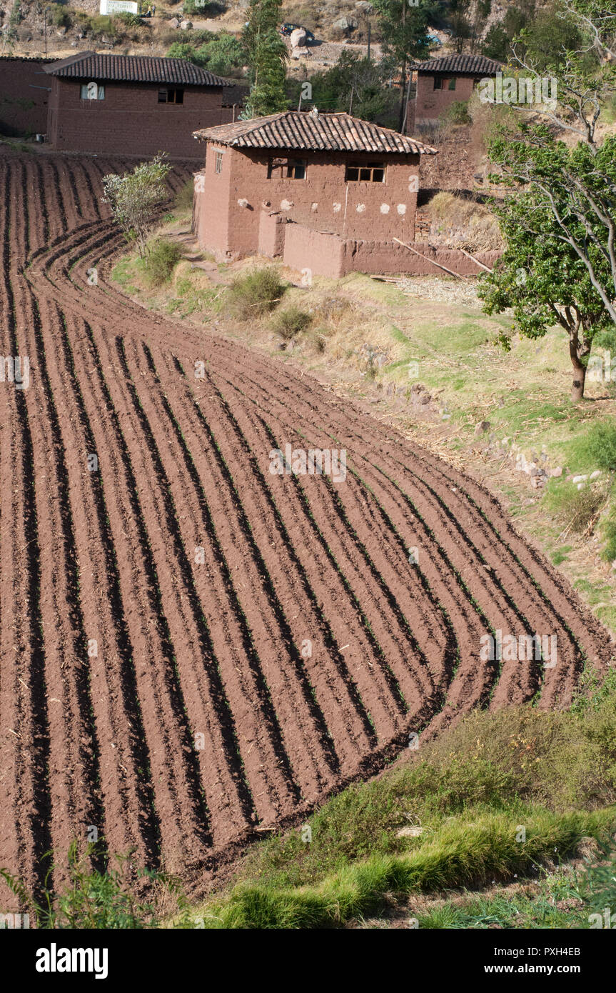 Latin countryside hi-res stock photography and images - Alamy