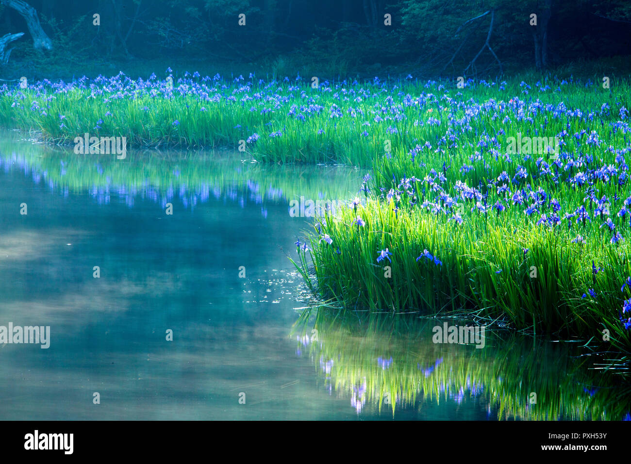 Shiga Prefecture, Japan Stock Photo - Alamy