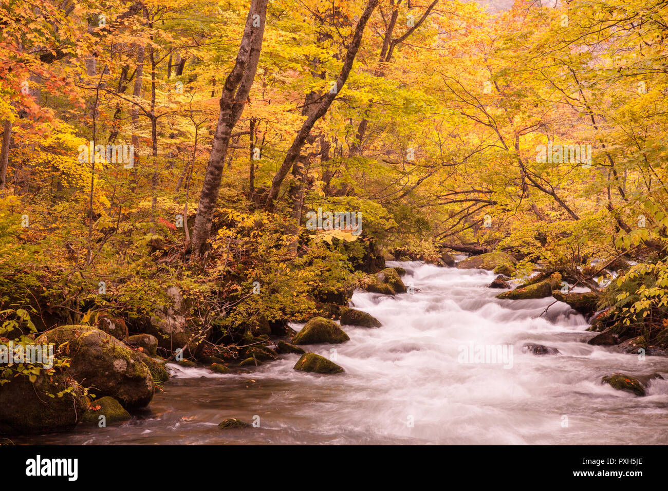 Aomori Prefecture, Japan Stock Photo - Alamy