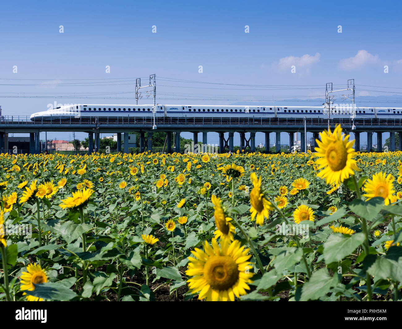 Maibara hi-res stock photography and images - Alamy