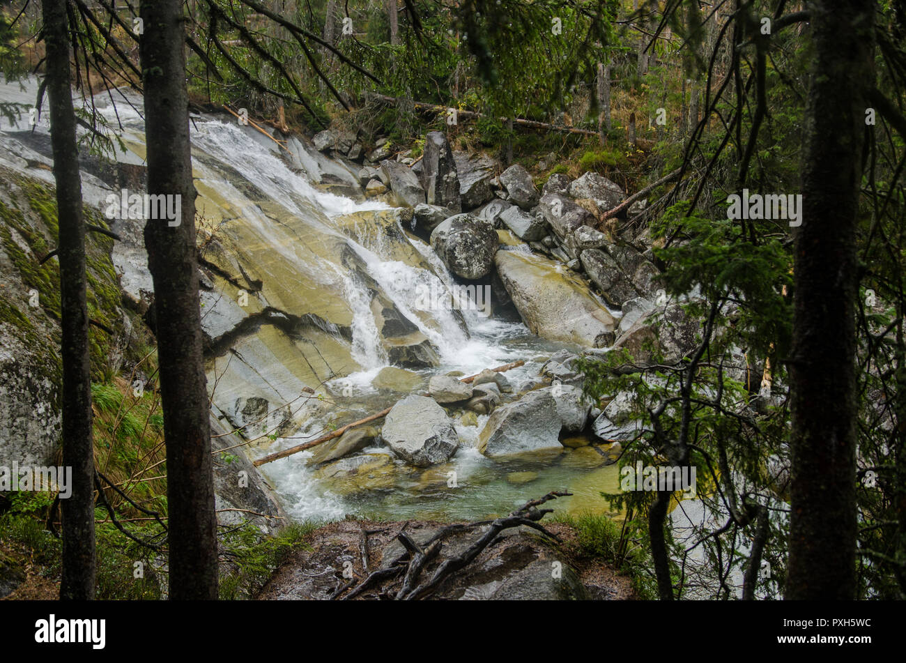 Waterfall scene covered with pine trees - in the mountains - Europe ...