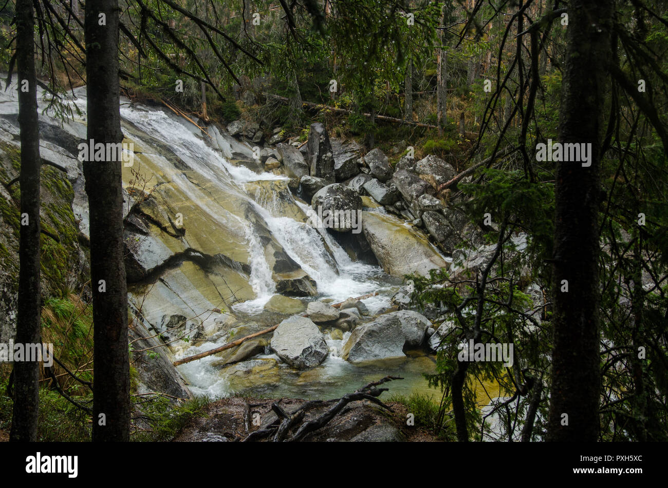 Beautiful waterfall with trees hi-res stock photography and images - Alamy