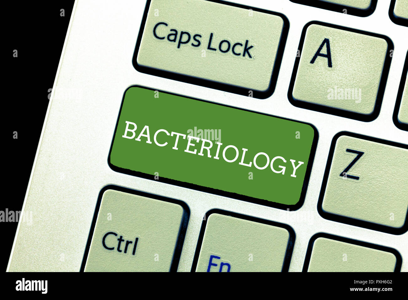 Handwriting text writing Bacteriology. Concept meaning Branch of ...