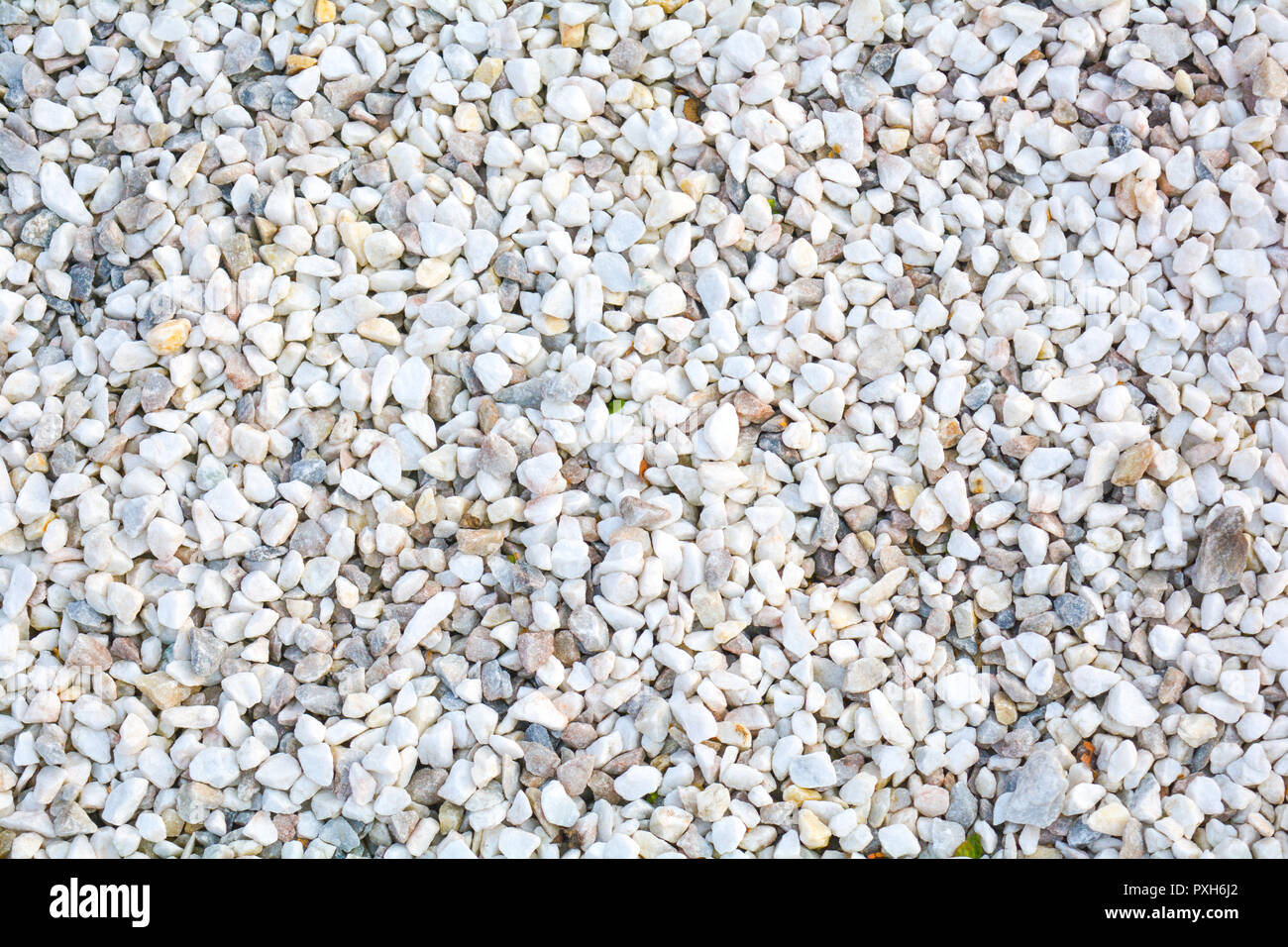 Small White pebble background. Top view of white gravel stone texture ...