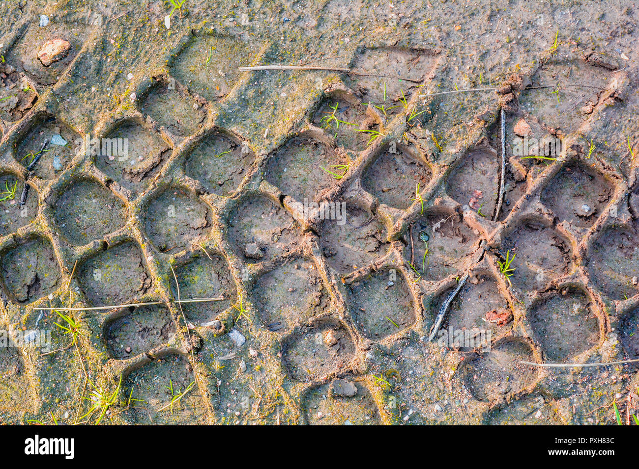 Traces from the tread of car on mud ground. Tire tread on dirt ground ...