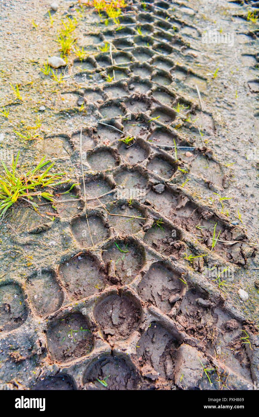 Traces from the tread of car on mud ground. Tire tread on dirt ground ...
