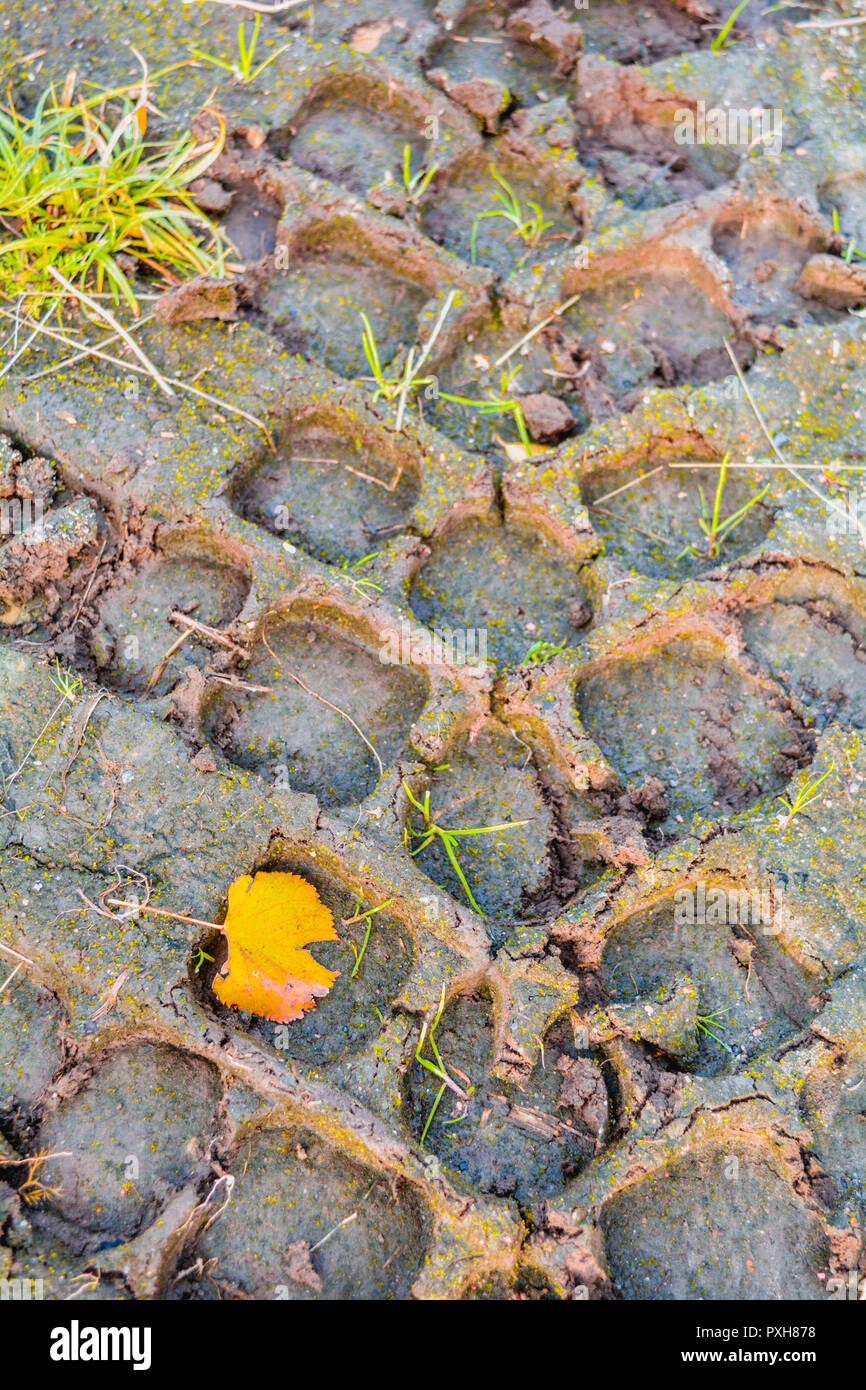Traces from the tread of car on mud ground. Tire tread on dirt ground ...