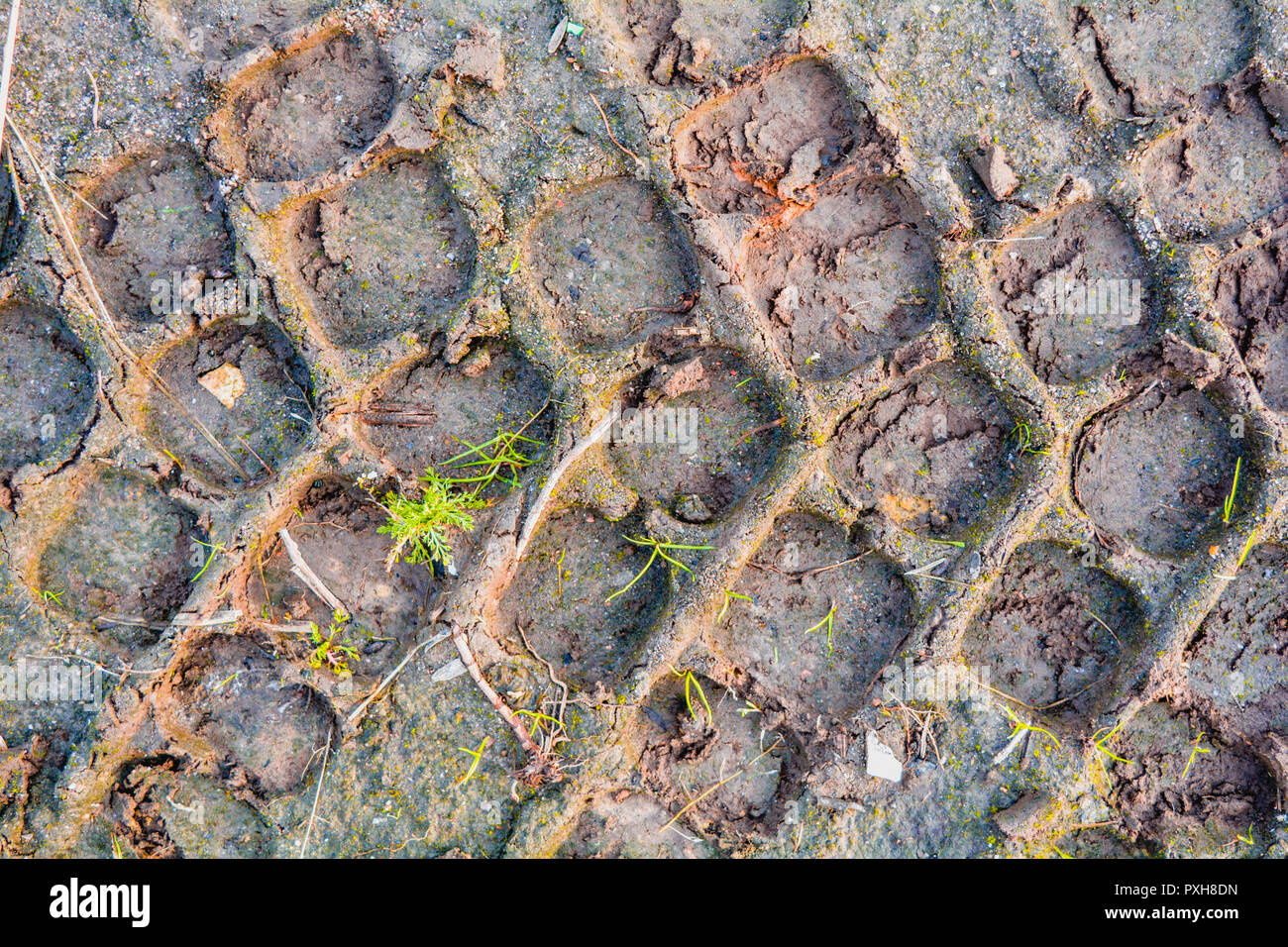 Traces from the tread of car on mud ground. Tire tread on dirt ground ...