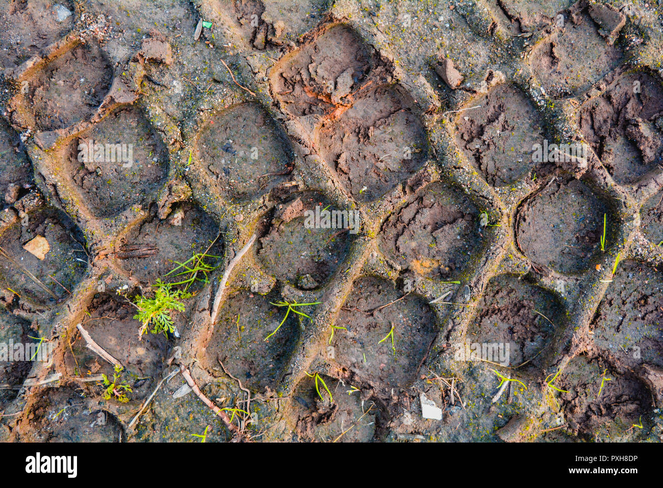 Traces from the tread of car on mud ground. Tire tread on dirt ground ...