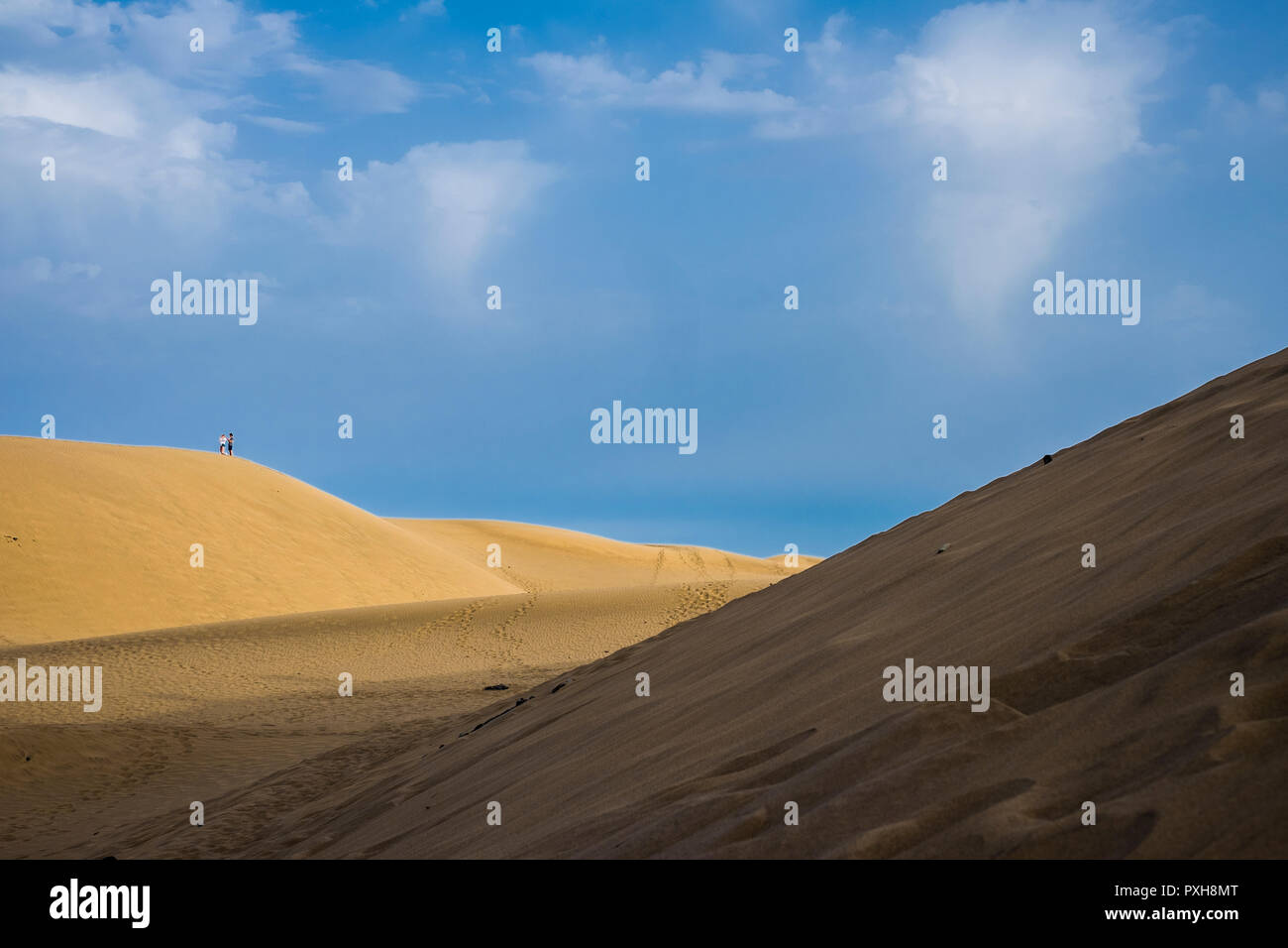 Couple of tourist standing on the hill of a dune in the yellow sandy ...